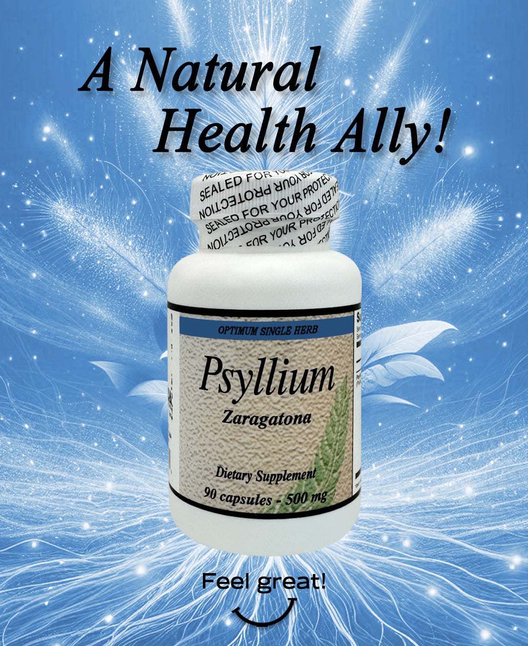 Psyllium 90 capsules | Natural Fiber Supplement for Digestive Health ...
