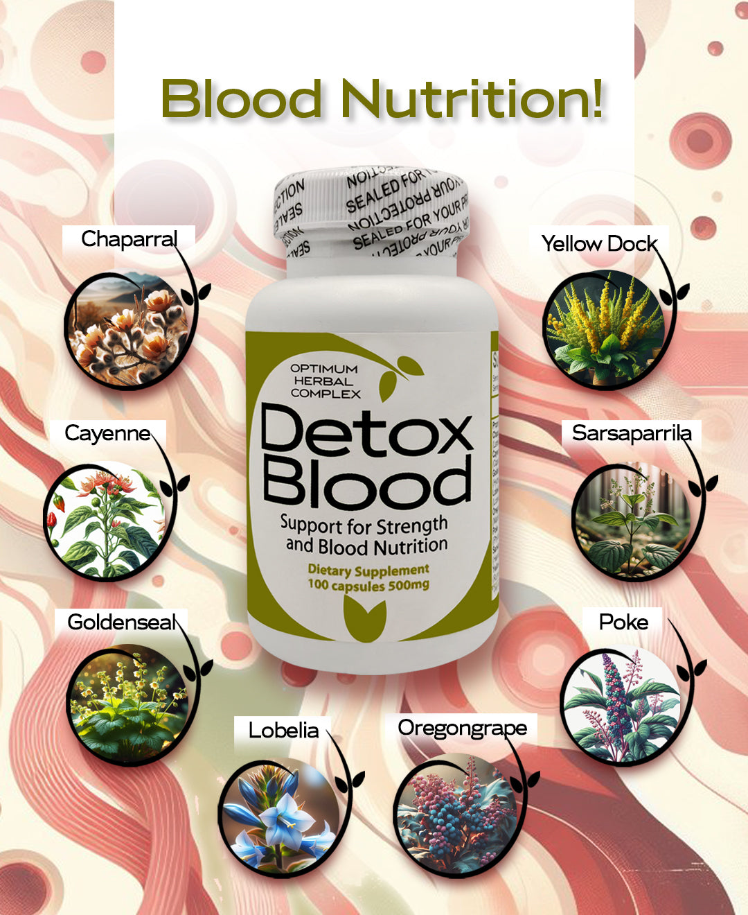 DetoxBlood 100 capsules 500mg | Cleanse your blood, eliminate toxins ...