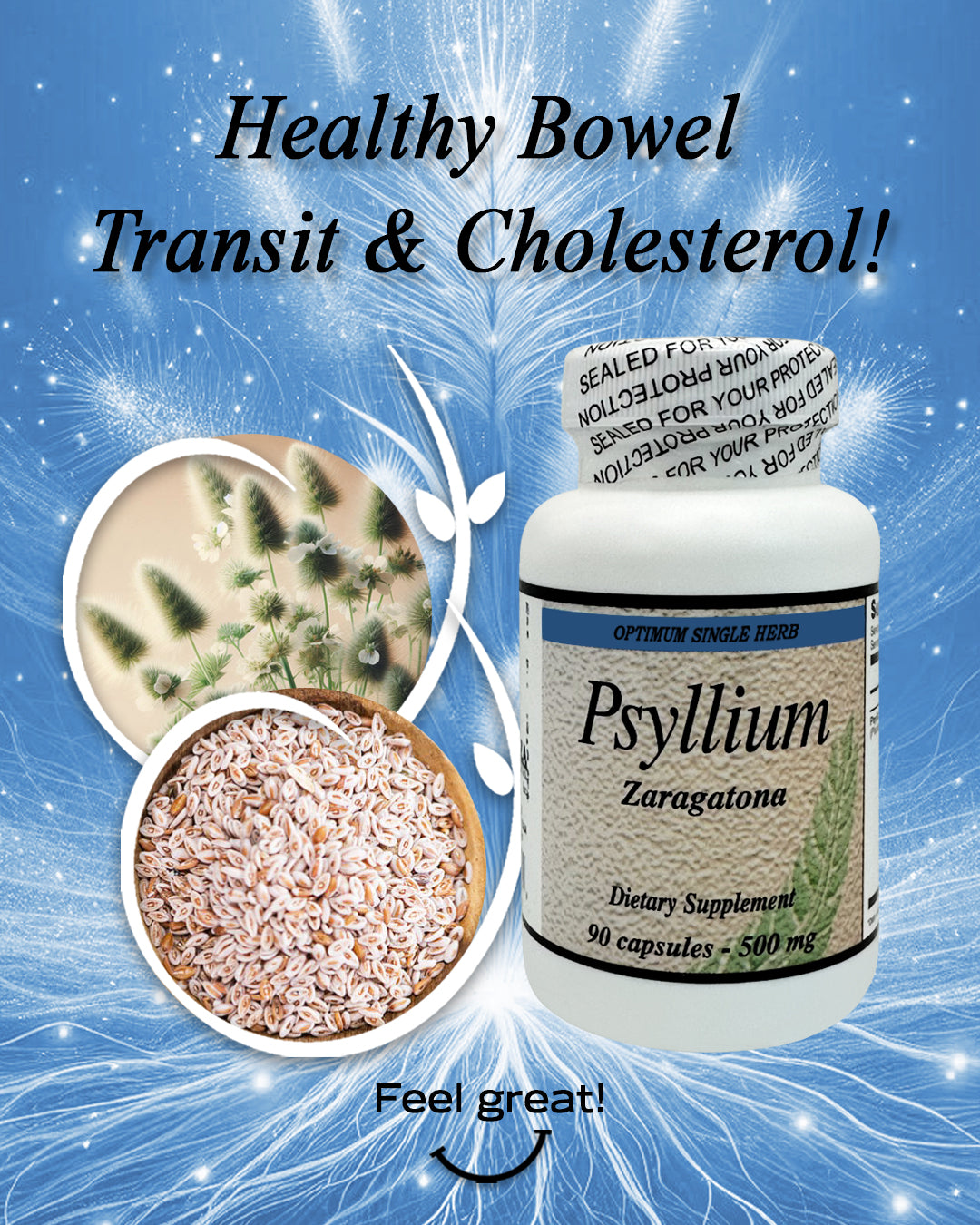 Psyllium 90 capsules | Natural Fiber Supplement for Digestive Health ...